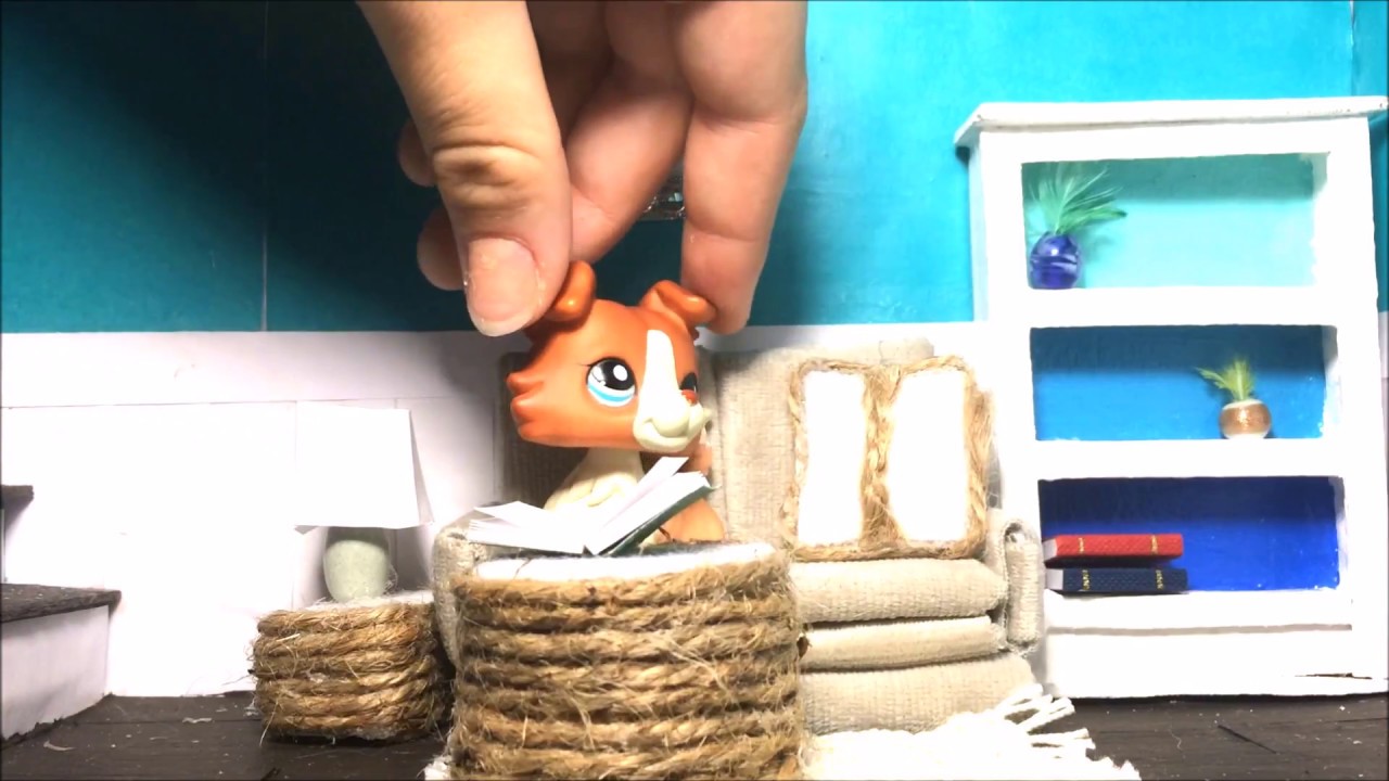 Lindsay and Tara Season 1 Ep 1 : LPS - YouTube