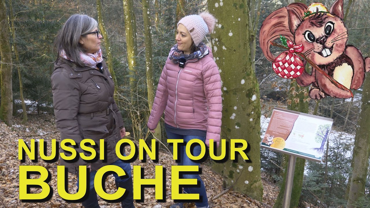 DIE BUCHE | NUSSI ON TOUR | STRUDENGAUER LEBENSPAUER | DIE BAUMPATEN ...