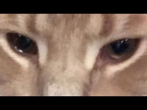 Michael’s First Day of School (meme) (vine) (really funny) (awesome) (naked)