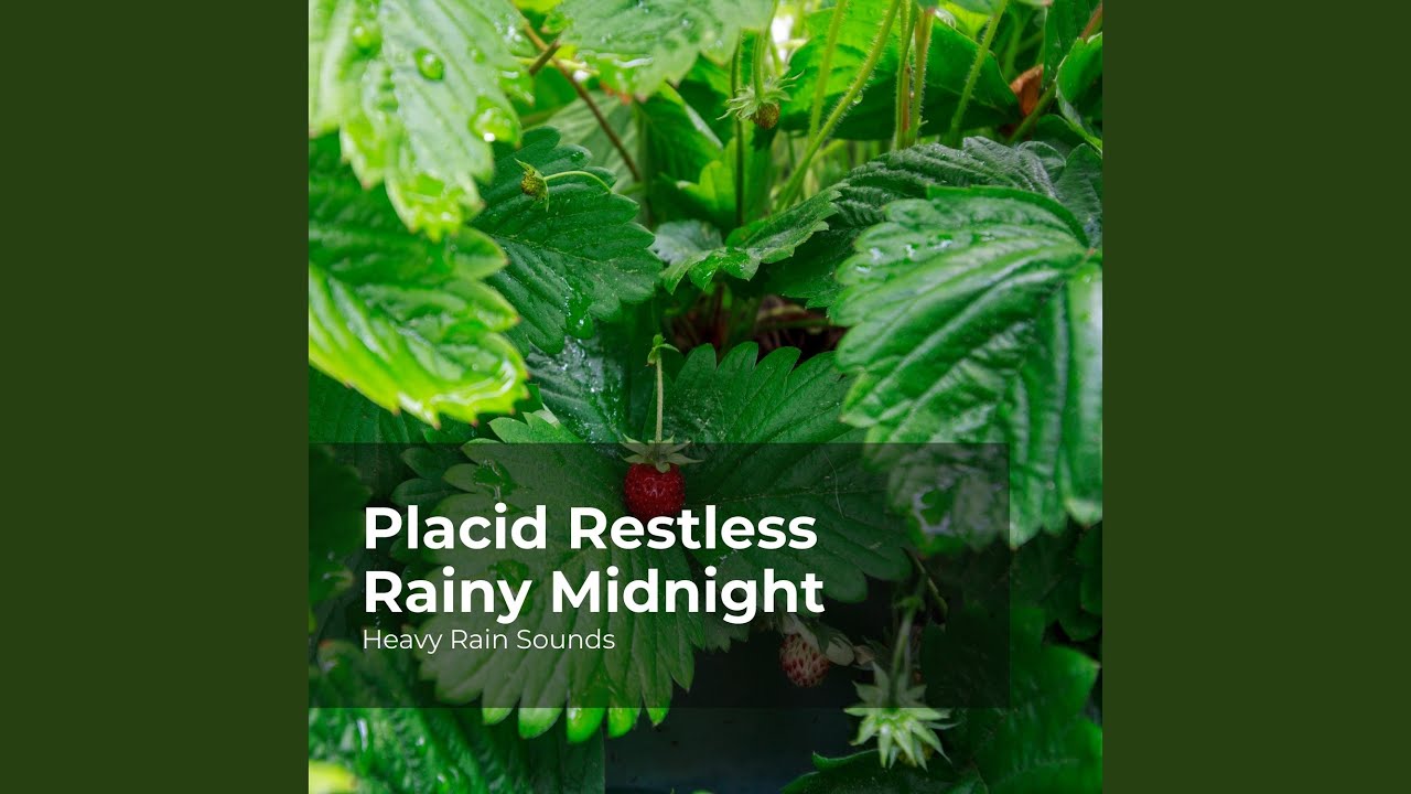 Ceaseless Pouring Rain - YouTube