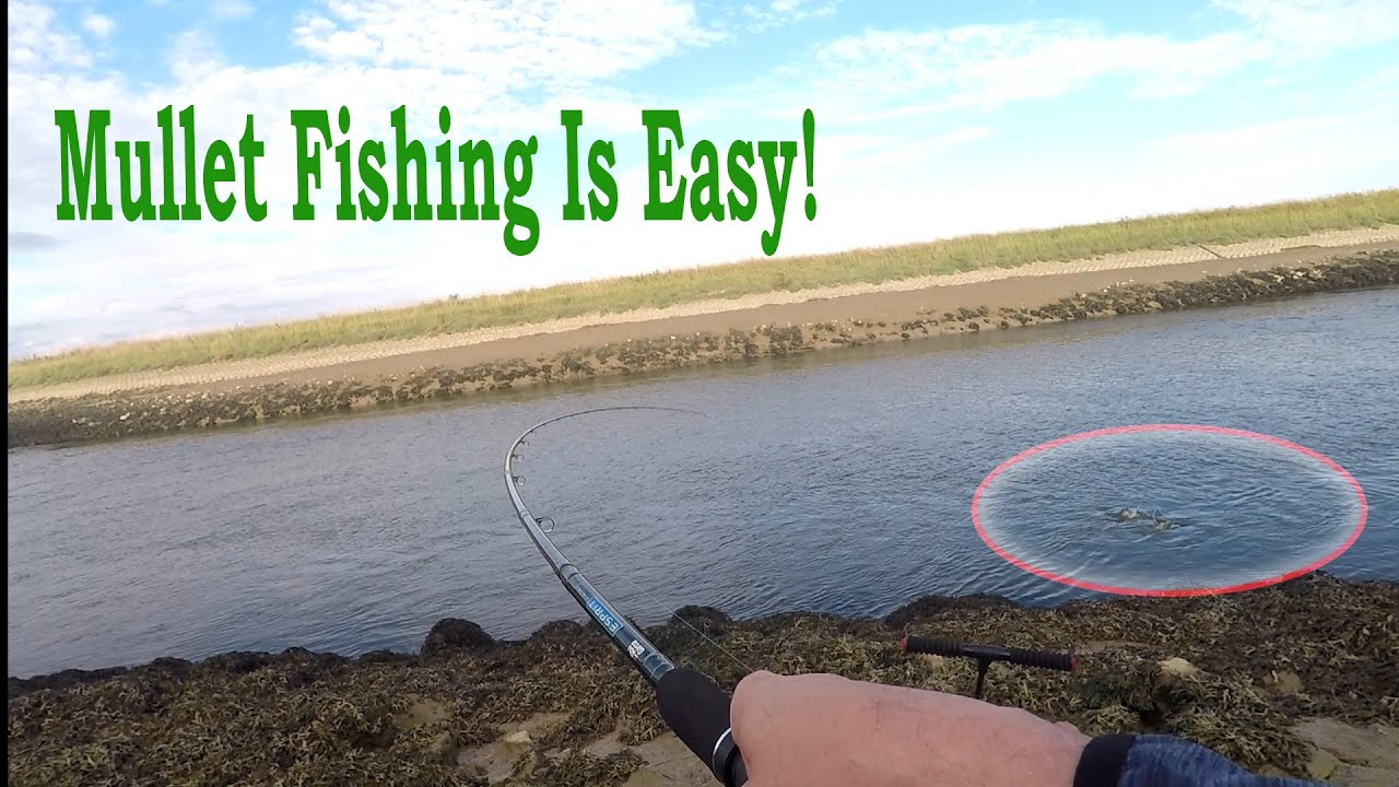 How to catch Mullet - YouTube