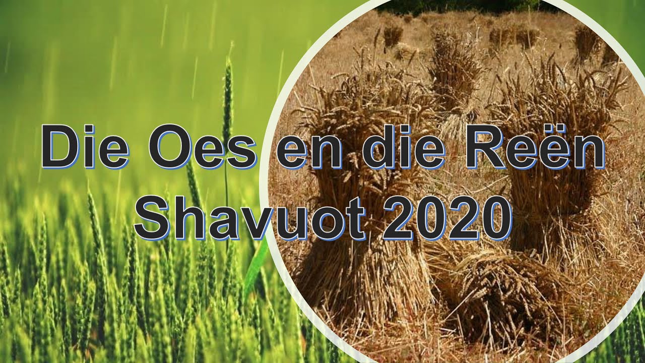 Die Oes en die Reen - Shavuot || 31 Mei 2020 - YouTube