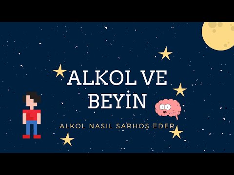 Alkol Nasıl Sarhoş Eder? Alkol ve Beyin