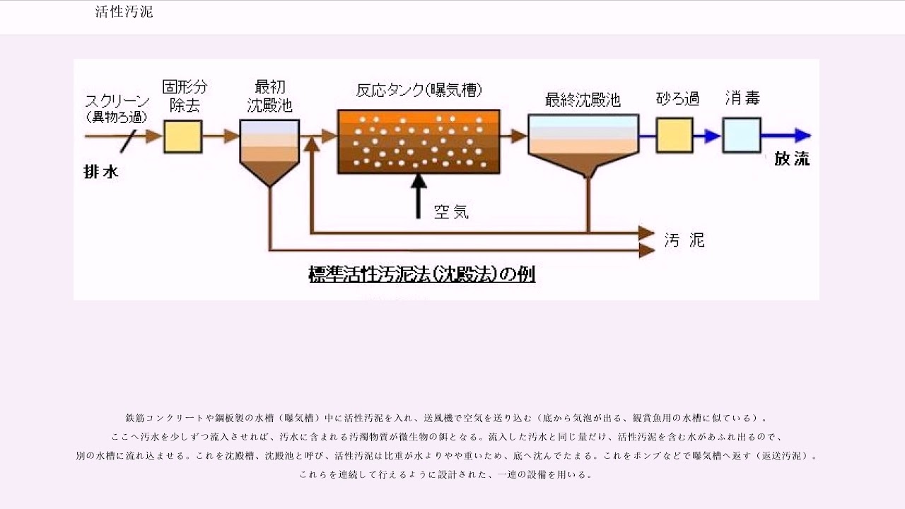 【となるポイ】 活性汚泥モデル―ASM1，ASM2，ASM2D，ASM3 :a-4860180690-20230314:goo10shop - 通販 - がここ