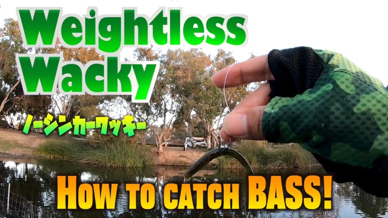 [Weightless Wacky Rig] Japanese Secret - Gary Yamamoto Kut Tail Worm ...