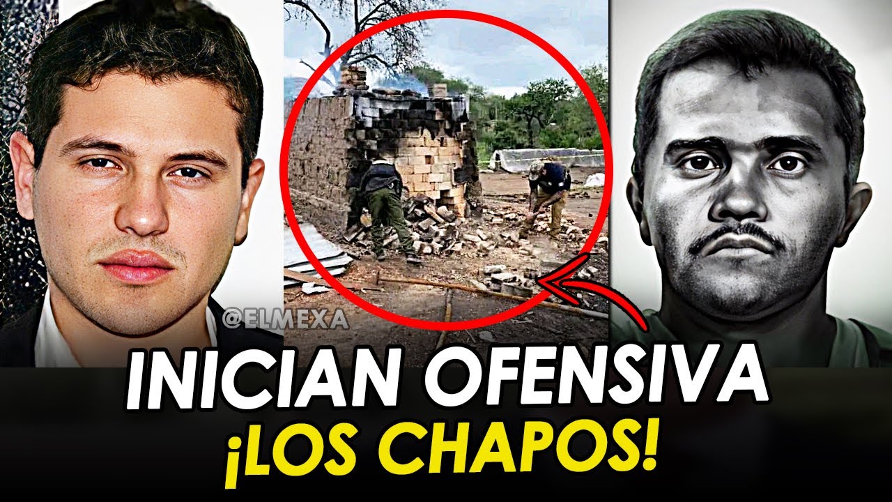 ¡Última Hora! Revelan detalles de la nueva Guerra entre Los Chapos y El ...