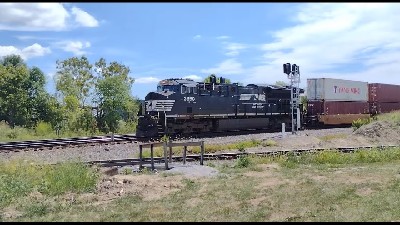 NS 3650 Solo Leads NS 262 Intermodal Train North at Springdale, OH ...