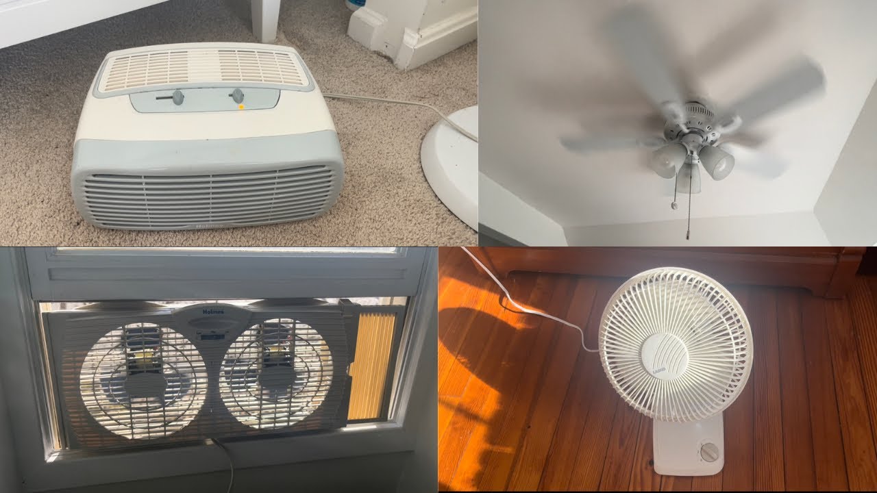 Fans Running 2/23/23 - YouTube