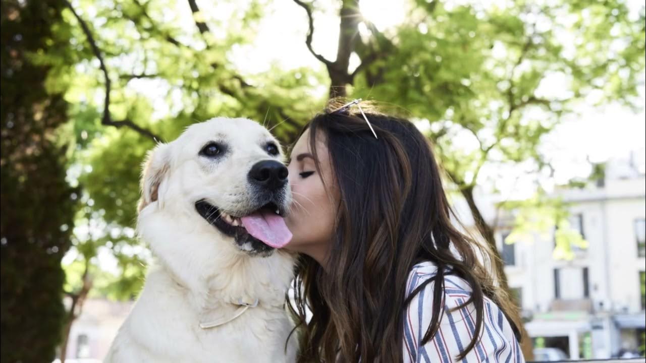 👅porque mi PERRO es MAÑOSO🐶 - YouTube