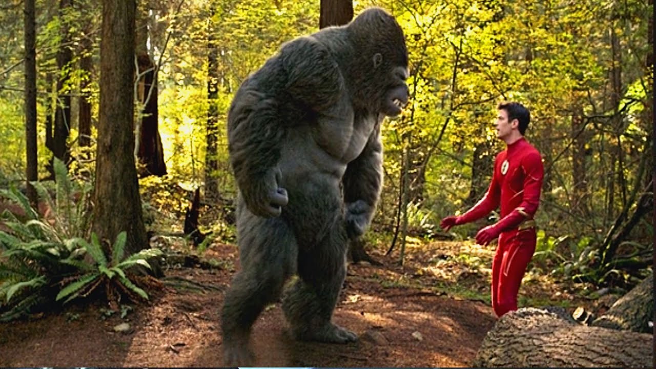The Flash 9x05 Barry ask Grodd's Help Scene - YouTube