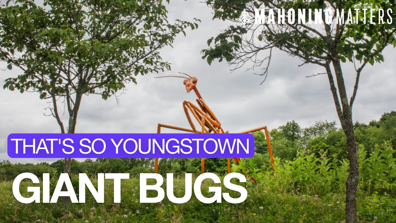 Big Bugs To Make Their Visit To Pittsburgh Botanic Garden - YouTube