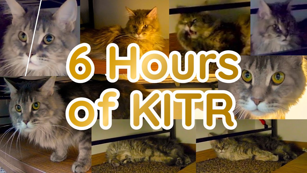 6 Hours of KITR + timelapse - YouTube