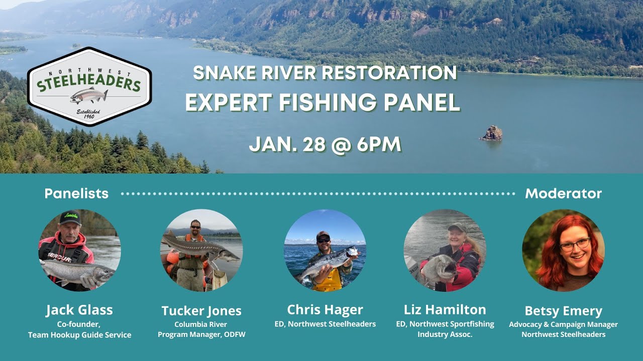 Fishing Experts Discuss the Urgent Need for Snake River Restoration ...
