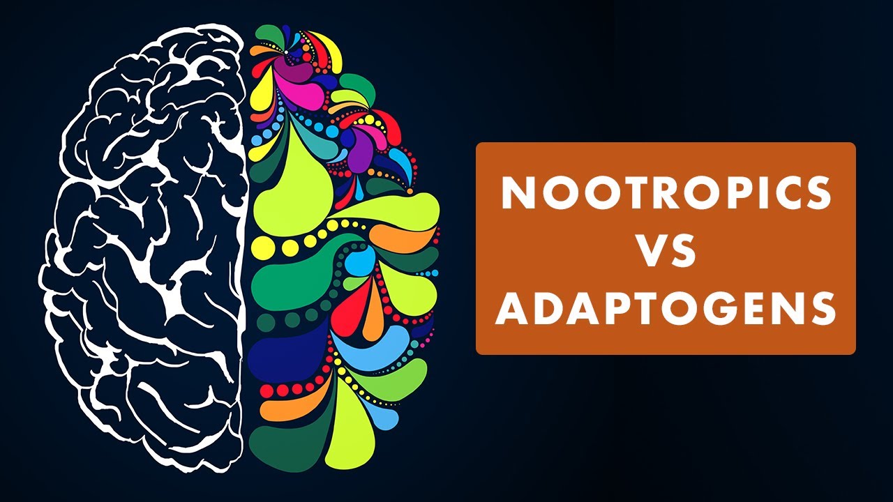 Nootropics Vs. Adaptogens: What's the Difference? (2021) - YouTube