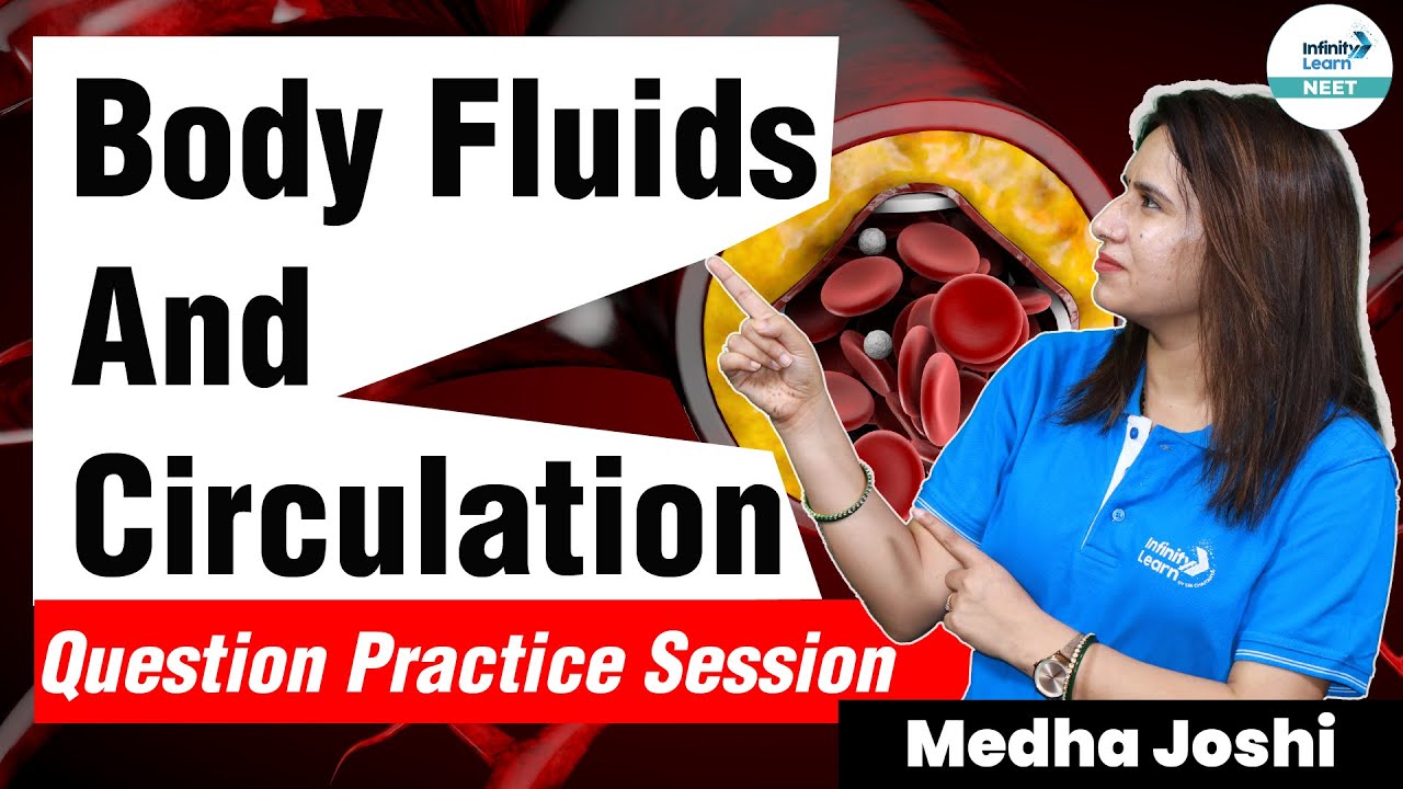 Body Fluids and Circulation - Question Practice Session | #NEETZoology2024 | LIVE | IL NEET ...