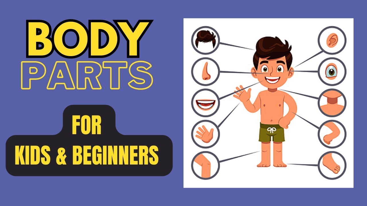 Body Parts in English for Kids and Beginners ll Kids Learning - YouTube