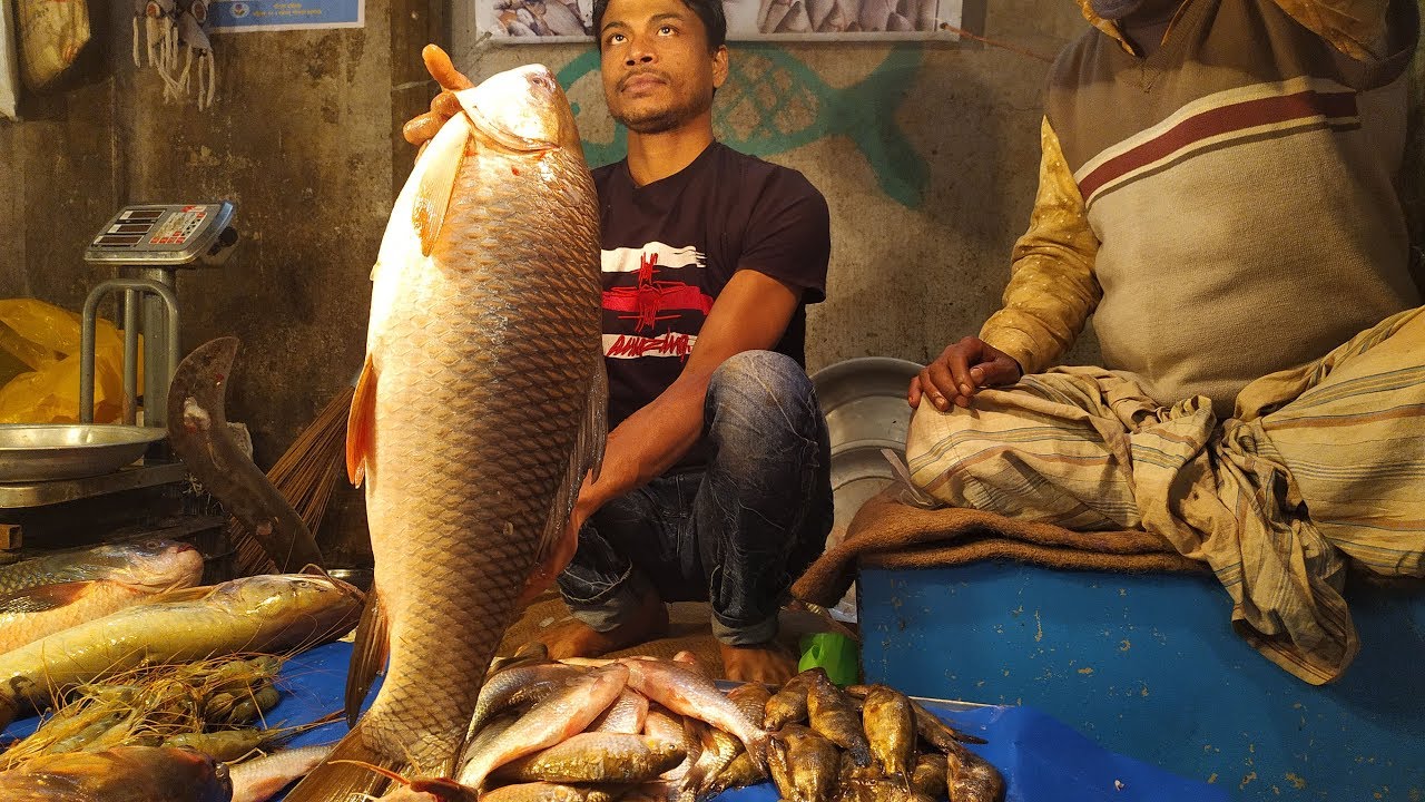 Amazing Big Size Rui Fish Cutting Skills Live In Fish Market 2020 by ...