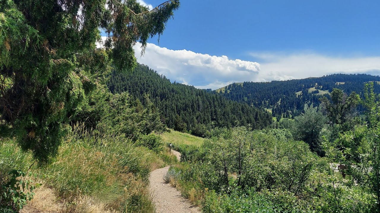 Hiking the M Trail in Bozeman, Montana | Summer Adventures with Friends ...
