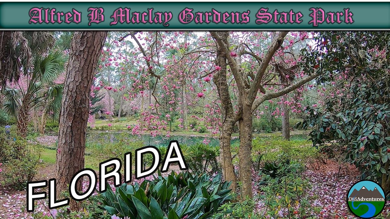 Exploring Alfred B Maclay Gardens State Park in Florida || Fulltime ...