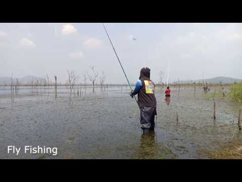 Fly fishing ,Fly Fishing Tackle, Emma's Fishing - YouTube