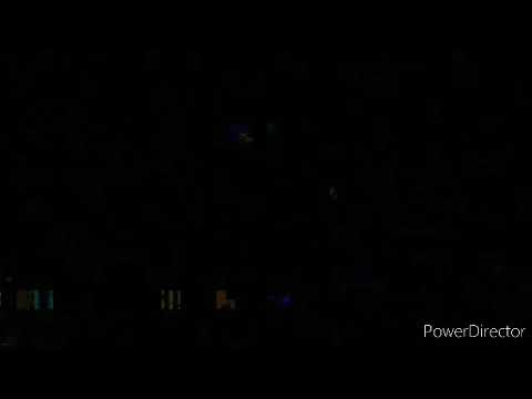 Foxy 360 🦊🍿 - YouTube