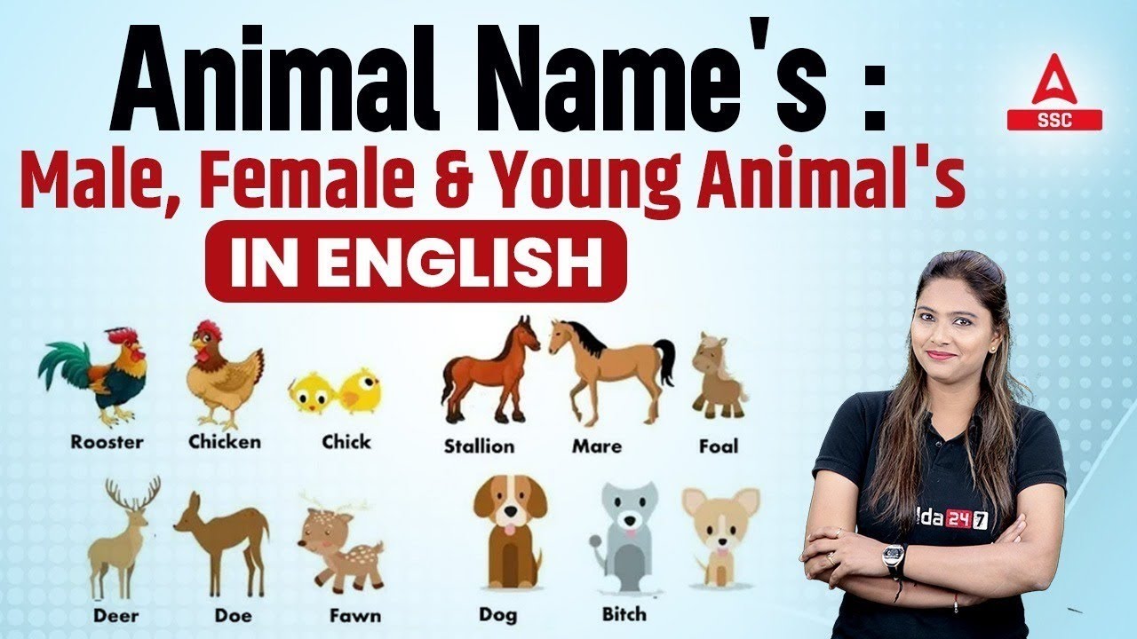 Animals Names | Male, Female & Young Animals Name in English | Animals ...