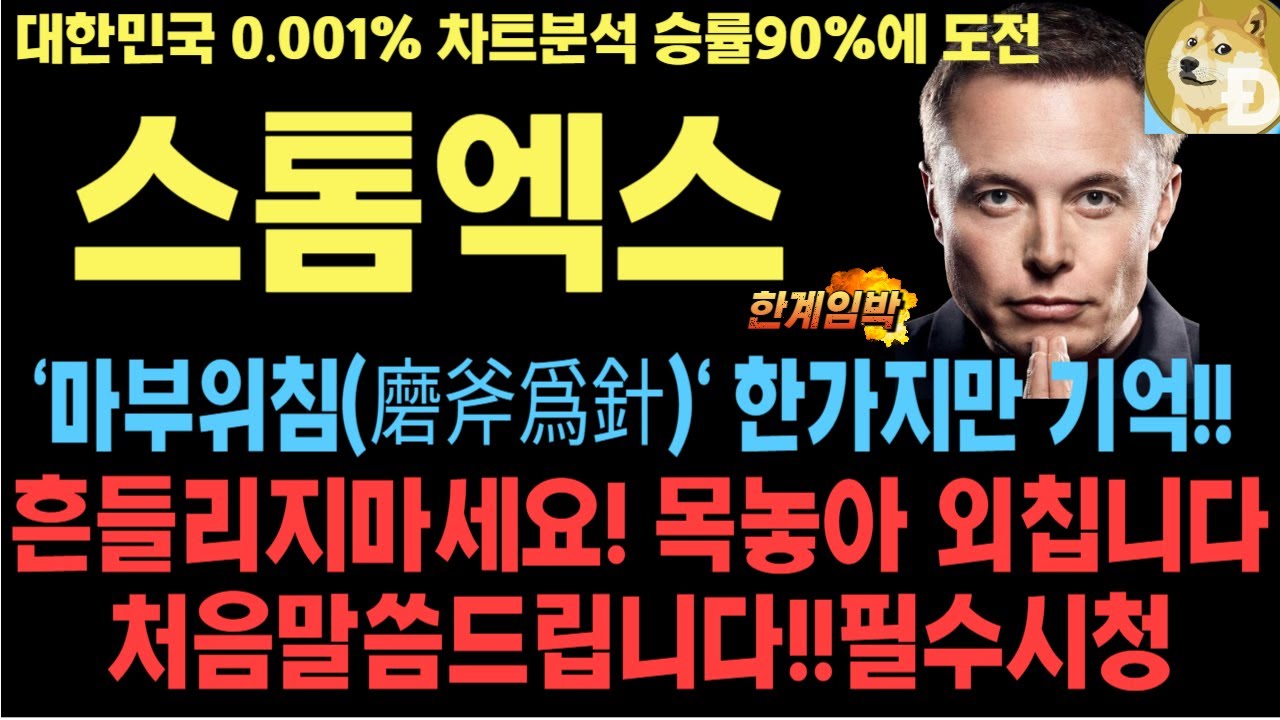 스톰엑스 스톰엑스코인 스톰엑스코인전망 Stmx 코인전망 비트코인 이더리움 도지코인 Youtube
