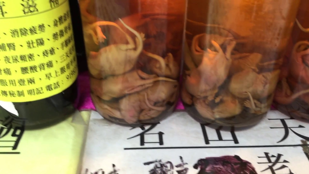 Baby Rats in Rice Wine 米酒 浸 老鼠仔 - YouTube