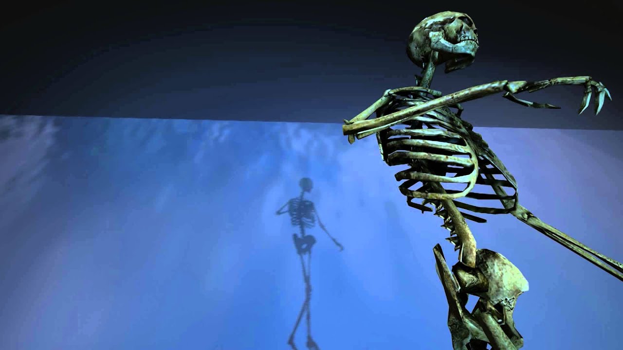 Dancing Skeleton - Happy Halloween - YouTube