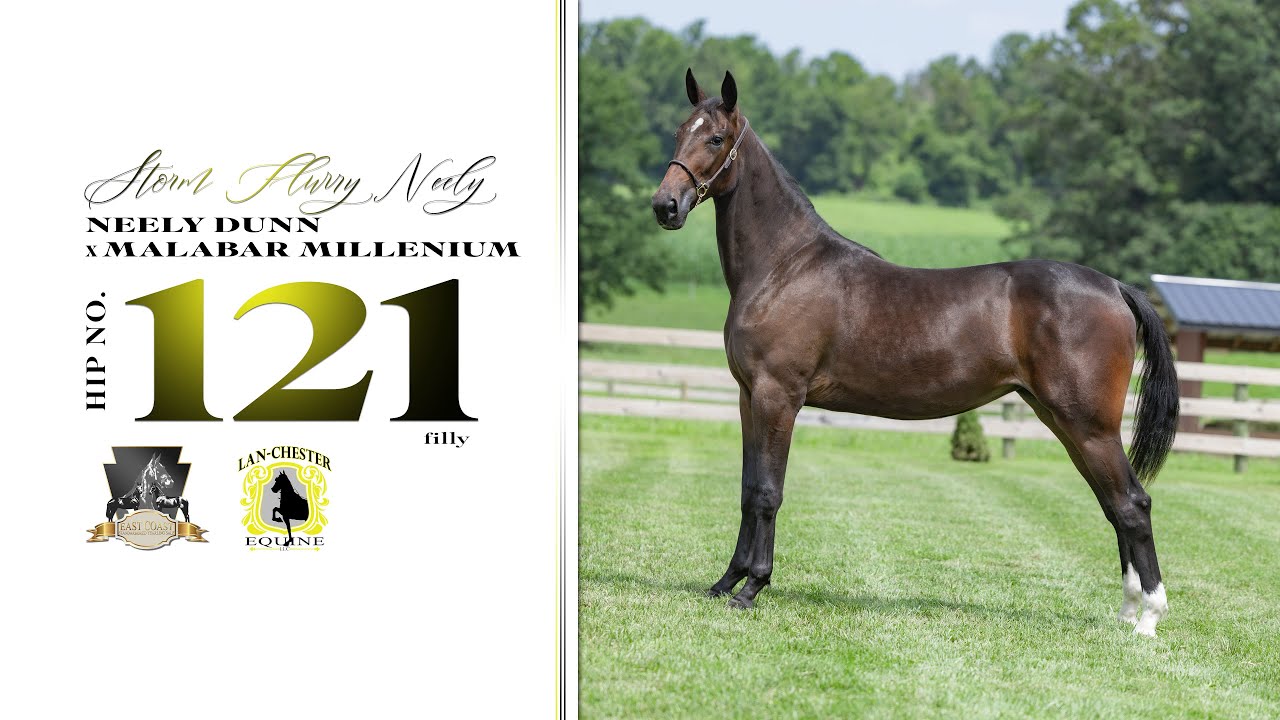 (Storm Flurry Neely) Neely Dunn x Malabar Millenium - Lot 121 - YouTube