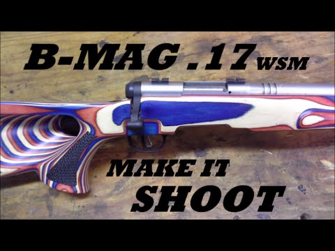 Savage B-MAG.17 WSM. HOW TO MAKE IT SHOOT STRAIGHT. - YouTube