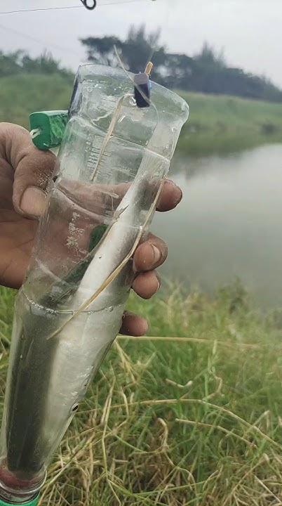 mancing belanak pakai botol #fishing #kontenkreator #mancing #ikan #shortvideo #mancingmania ...