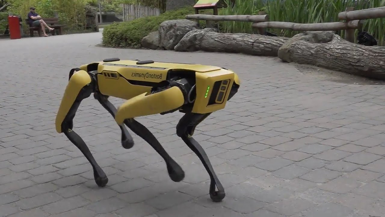 Robot-dog tracks human visitors at the Zoo - YouTube