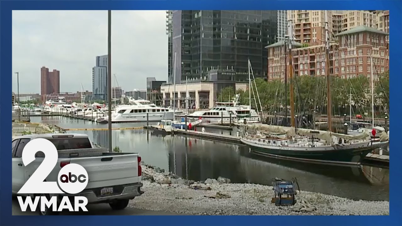 Next steps following diesel fuel spill in Baltimore Inner Harbor - YouTube