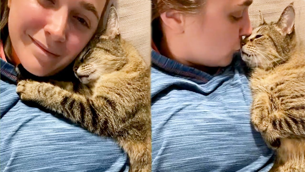 Loyal Animal And Their Humans Have The Strongest Bond - Cute Animals ...
