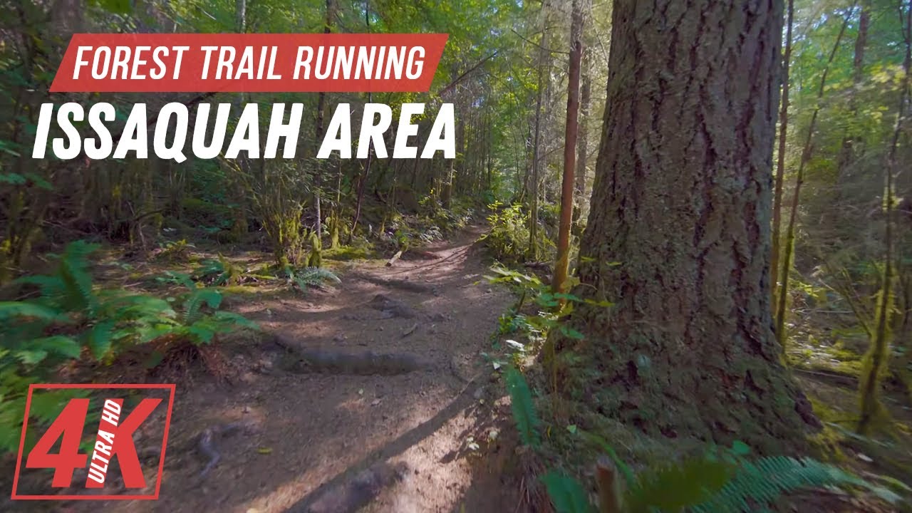 30 min Forest Trail Running, Issaquah Area - 4K Forest Scenery for ...