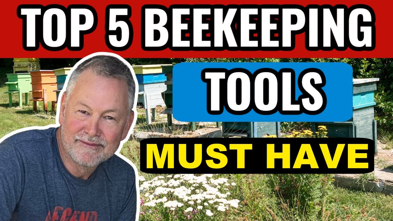 Beekeeping: Top 5 Must Have Beekeeper's Tools - YouTube