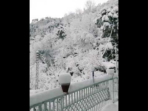 Snowfall Status⛄🌨❄| Love Song Status❤| Best Winter Status