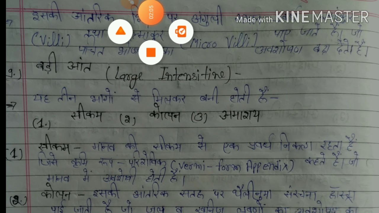 Chhoti aant | छोटी आंत्र | pachan tantra | पाचन तंत्र | #myaims - YouTube