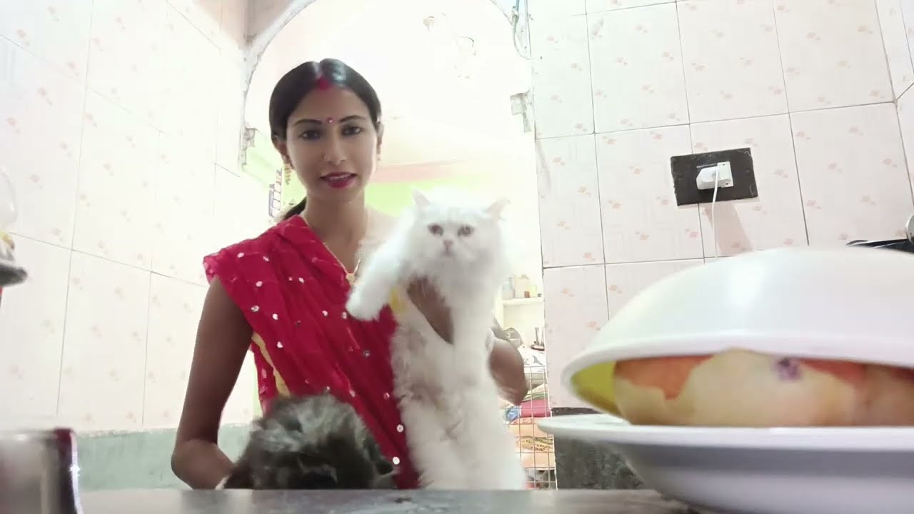 🔥 my daily routine kitchen work 💕 Sayan sathi vlogs 💕🌺🌷 - YouTube