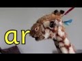 All new Geraldine the Giraffe - YouTube