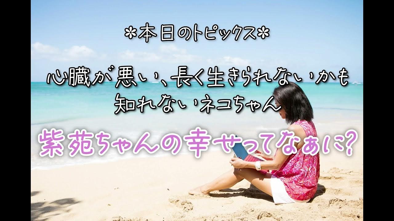 Clubhouse 「心臓が悪い、長く生きられないかも知れないネコちゃん 紫苑ちゃんの幸せってなぁに?」 Youtube