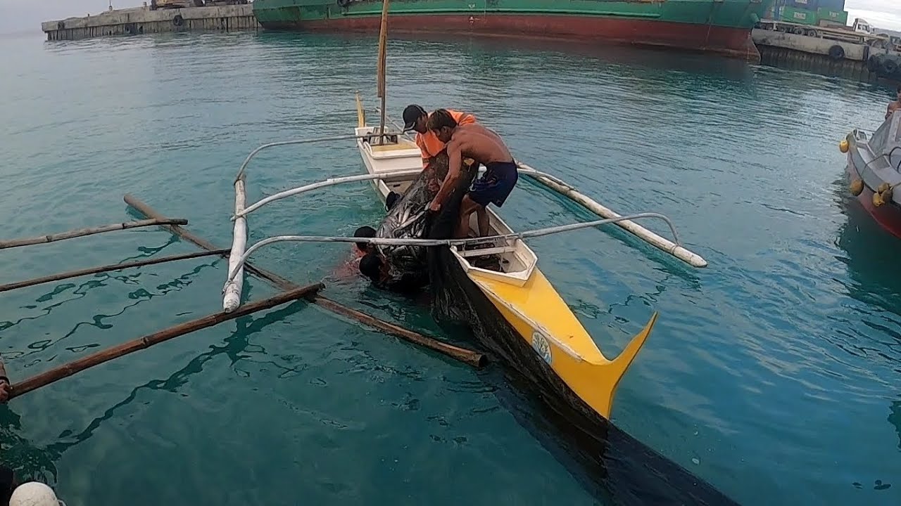 Natuntun ng mga mangingisda ang spot ng mga anglers. Harverst sila ng ...