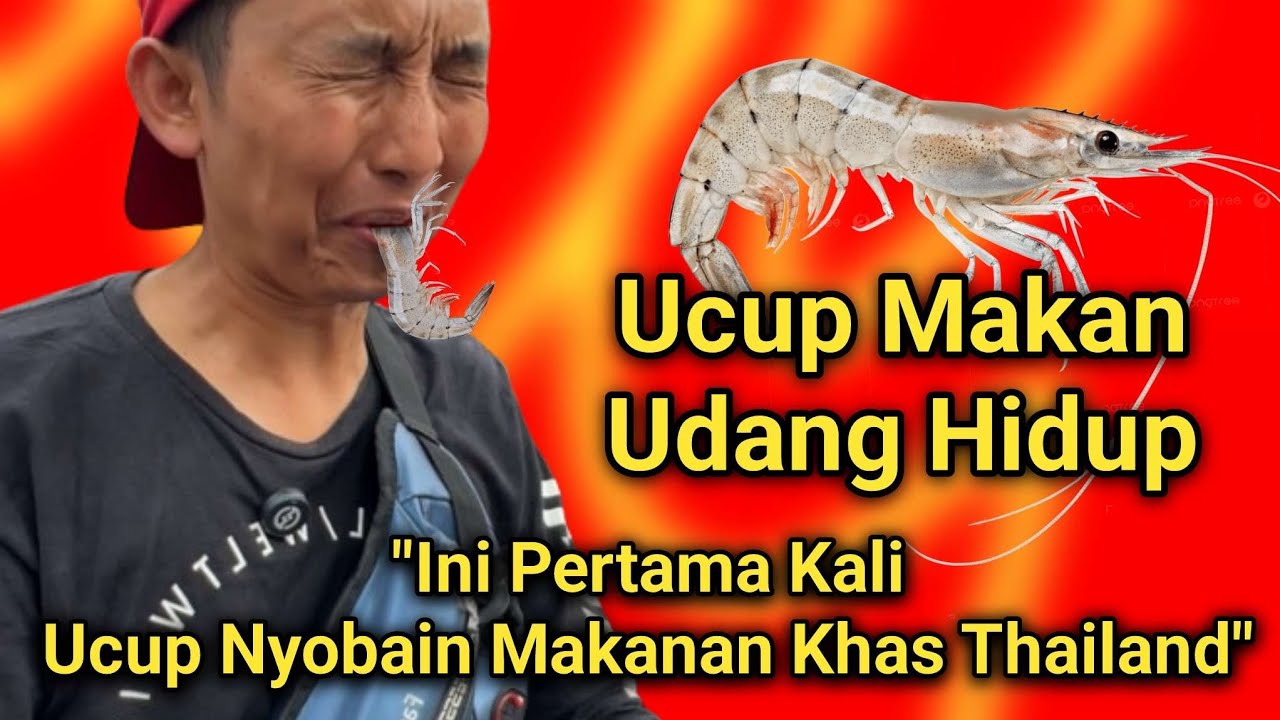 Nyobain Makanan Thailand Bareng Ucup Dan Adel - YouTube