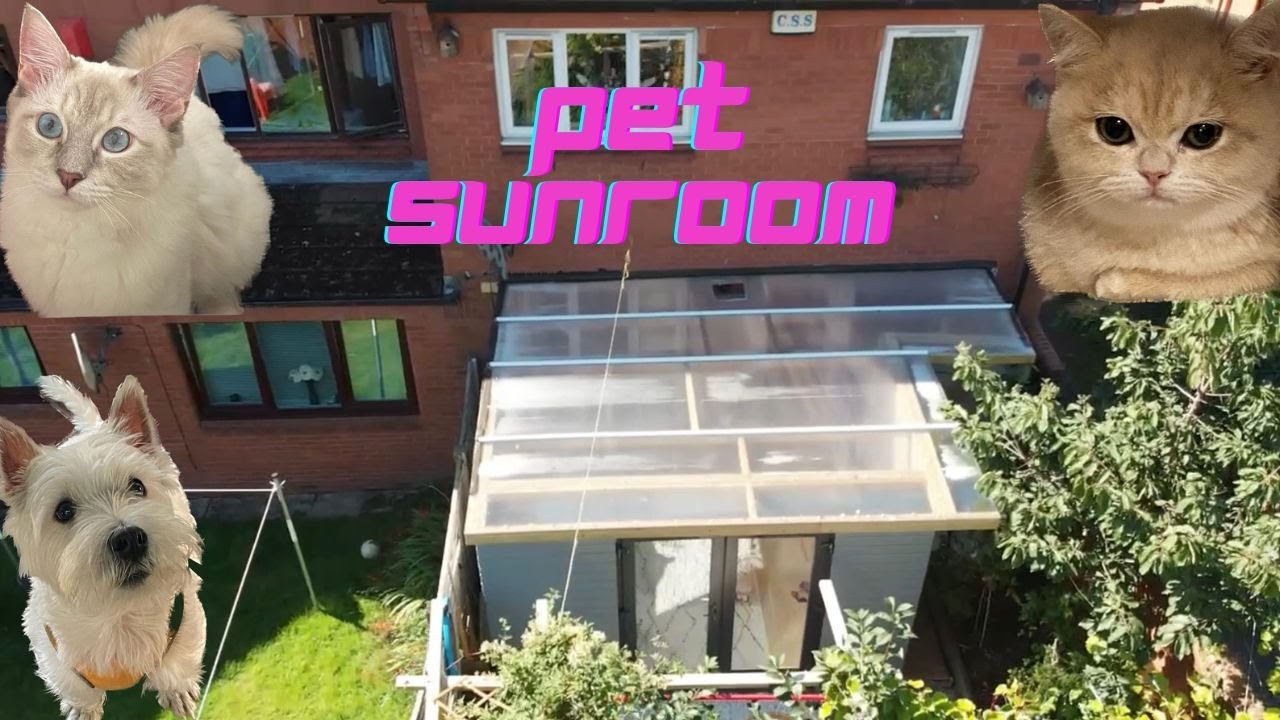 Building a Pet Sunroom for My Dog and Cats - YouTube