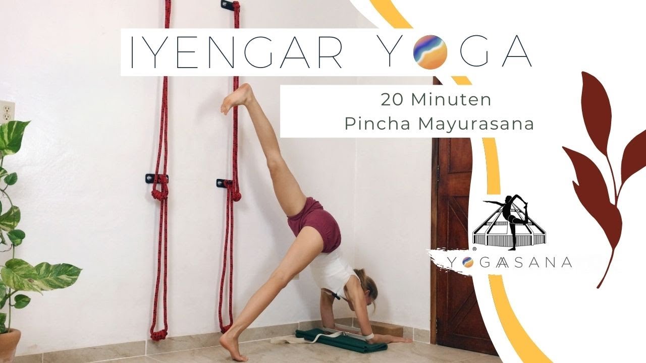 Pincha Mayurasana Iyengar