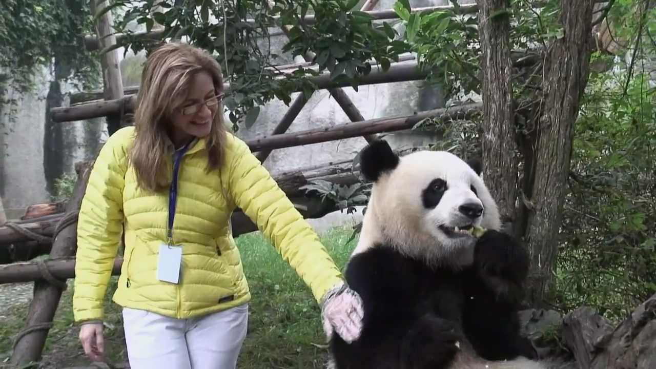 "Animating Pandas" Featurette | Kung Fu Panda 2 - YouTube