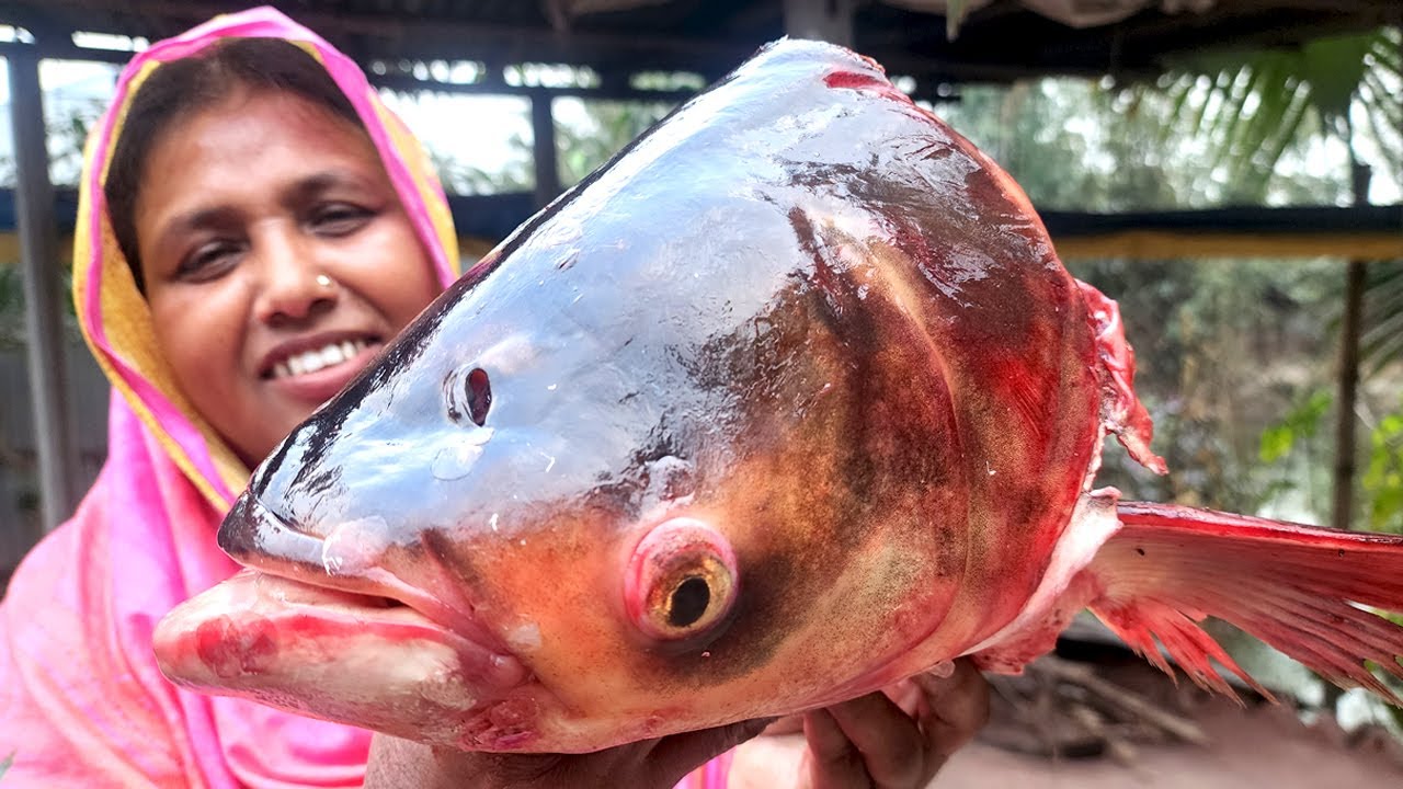 GIANT FISH HEAD COOKING বড় মাছের মাথা দিয়ে আলু ঘাটি Brigade Fish Head ...