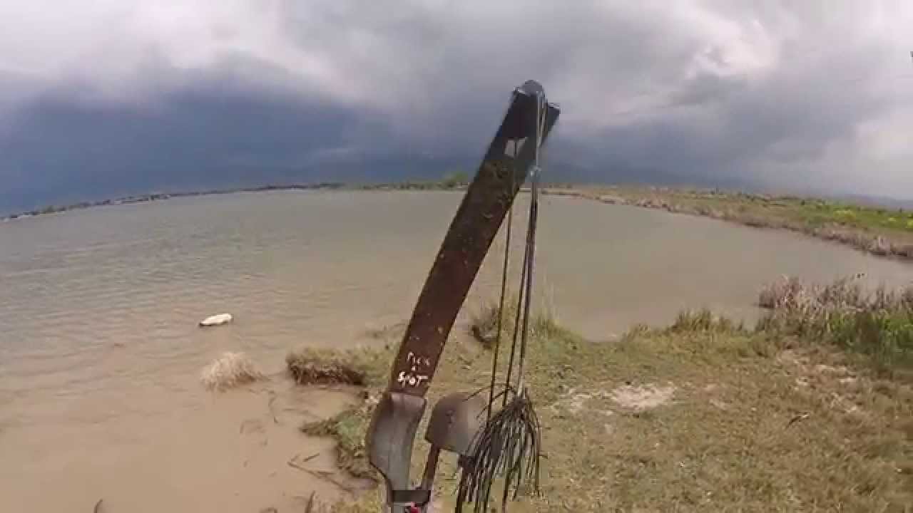 Bowfishing for Carp in Utah - YouTube