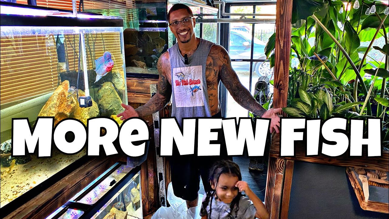 MORE NEW FISH - YouTube